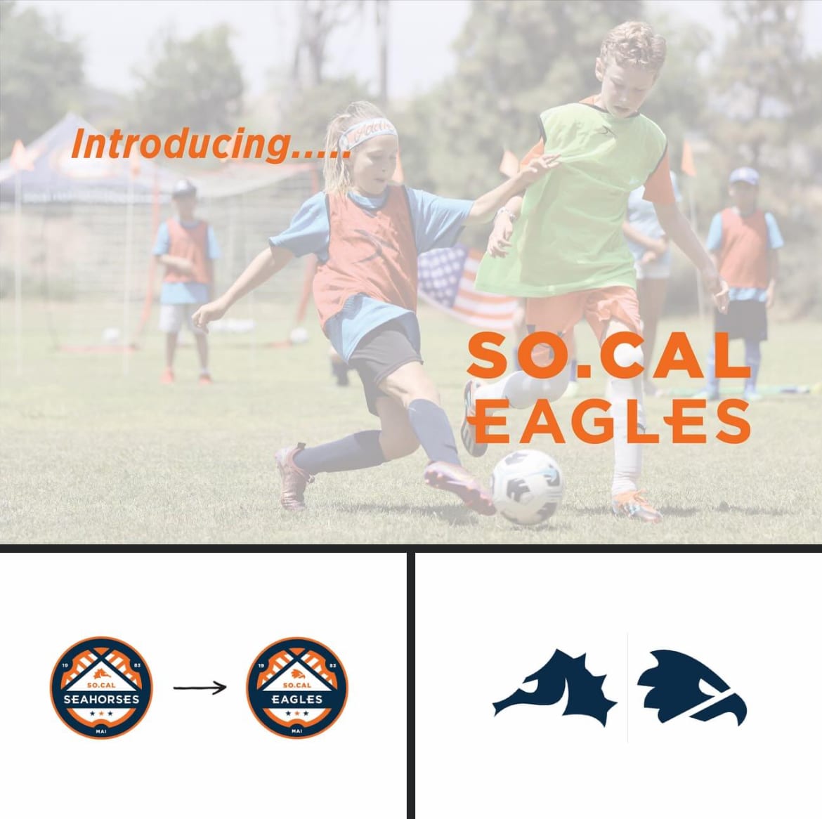 SoCal Seahorses are now SoCal Eagles - MAI Soccer